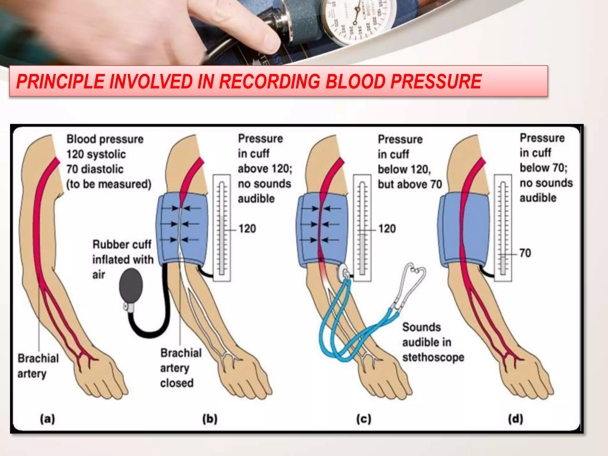 Blood pressure and its regulation | PPTX
