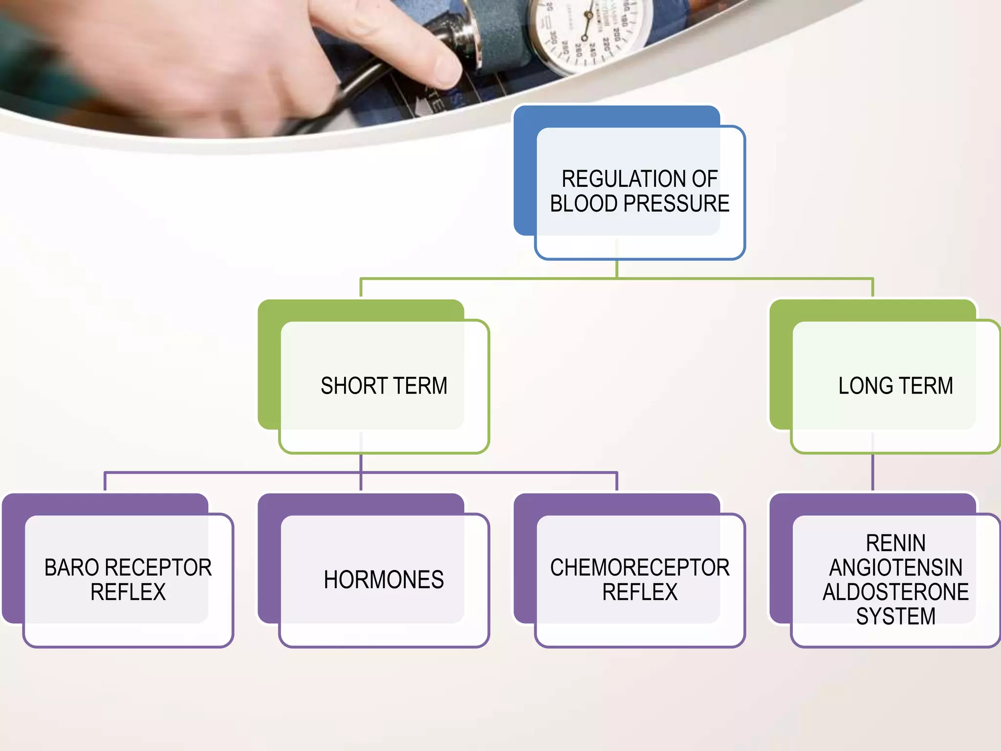 Blood pressure and its regulation | PPTX