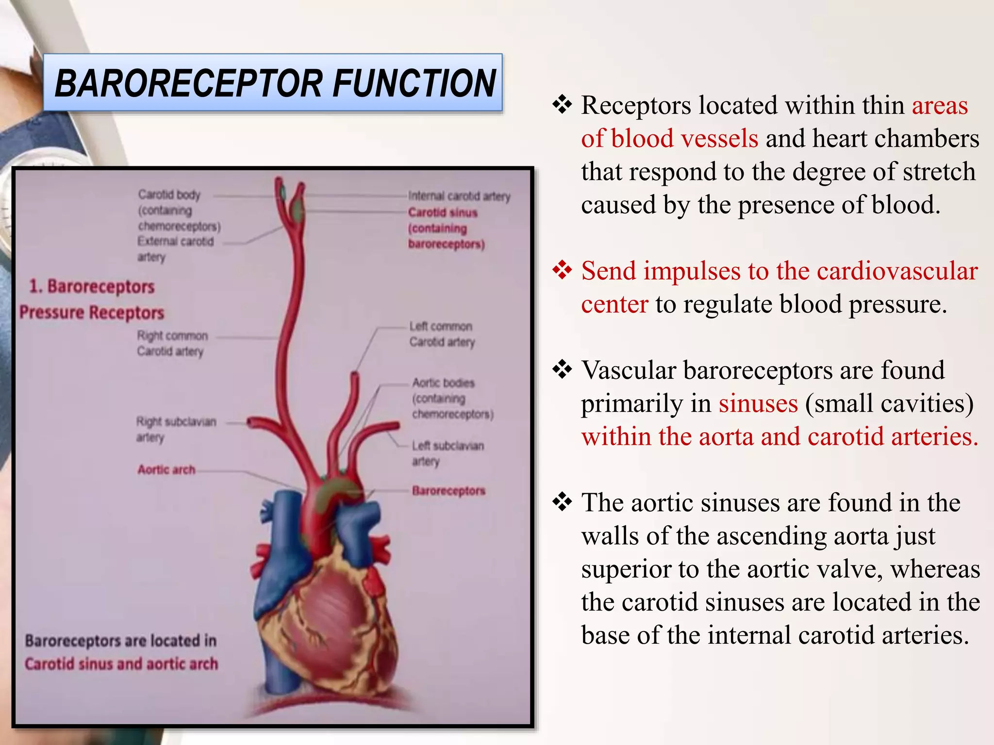 Blood pressure and its regulation | PPTX