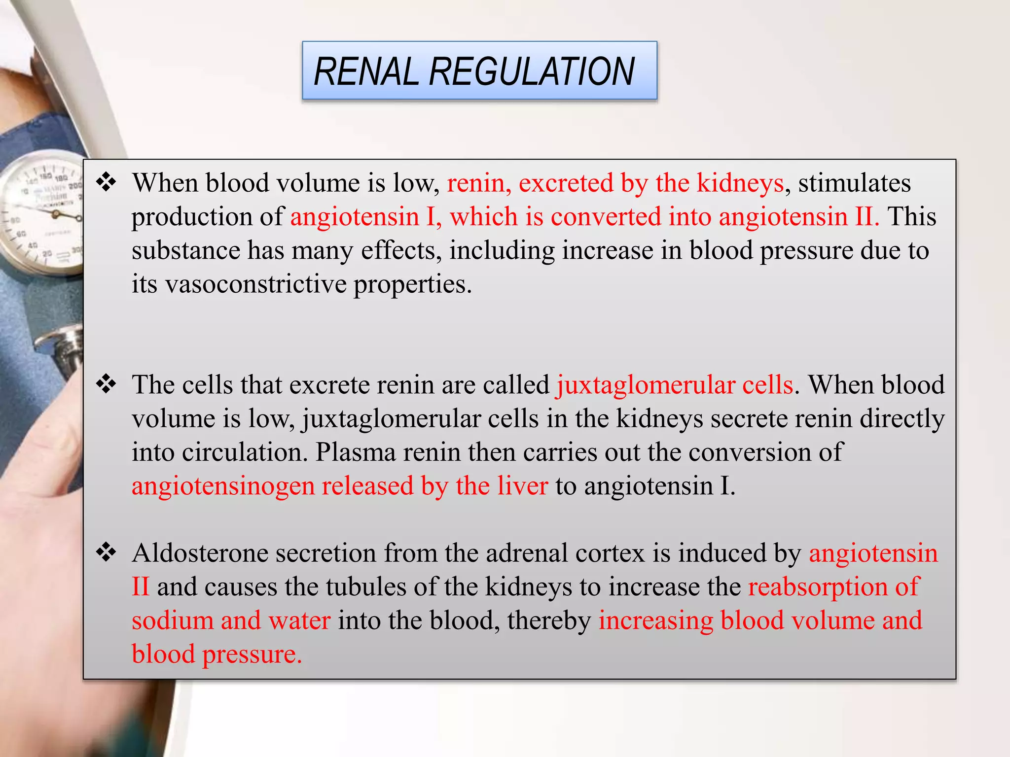 Blood pressure and its regulation | PPTX