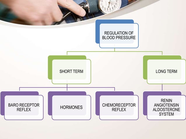 Blood pressure and its regulation | PPTX