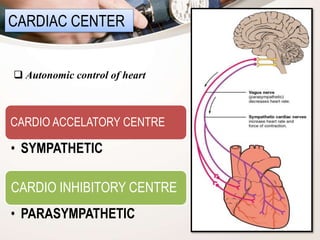 Blood pressure and its regulation | PPTX