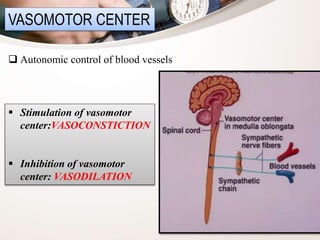Blood pressure and its regulation | PPTX
