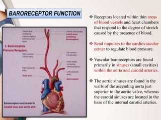 Blood pressure and its regulation | PPTX