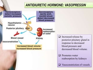 Blood pressure and its regulation | PPTX