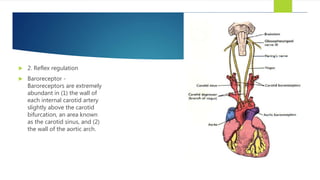 Blood pressure and its regulation . | PPTX