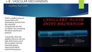 Blood pressure and its regulation . | PPTX