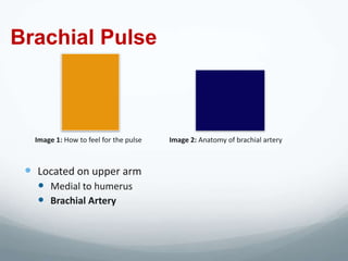 Blood pressure and pulses | PPTX