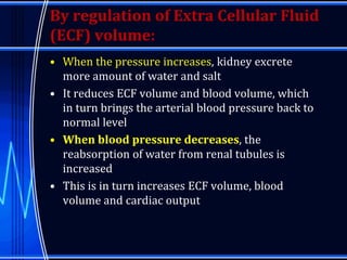 Blood pressure and regulation | PDF