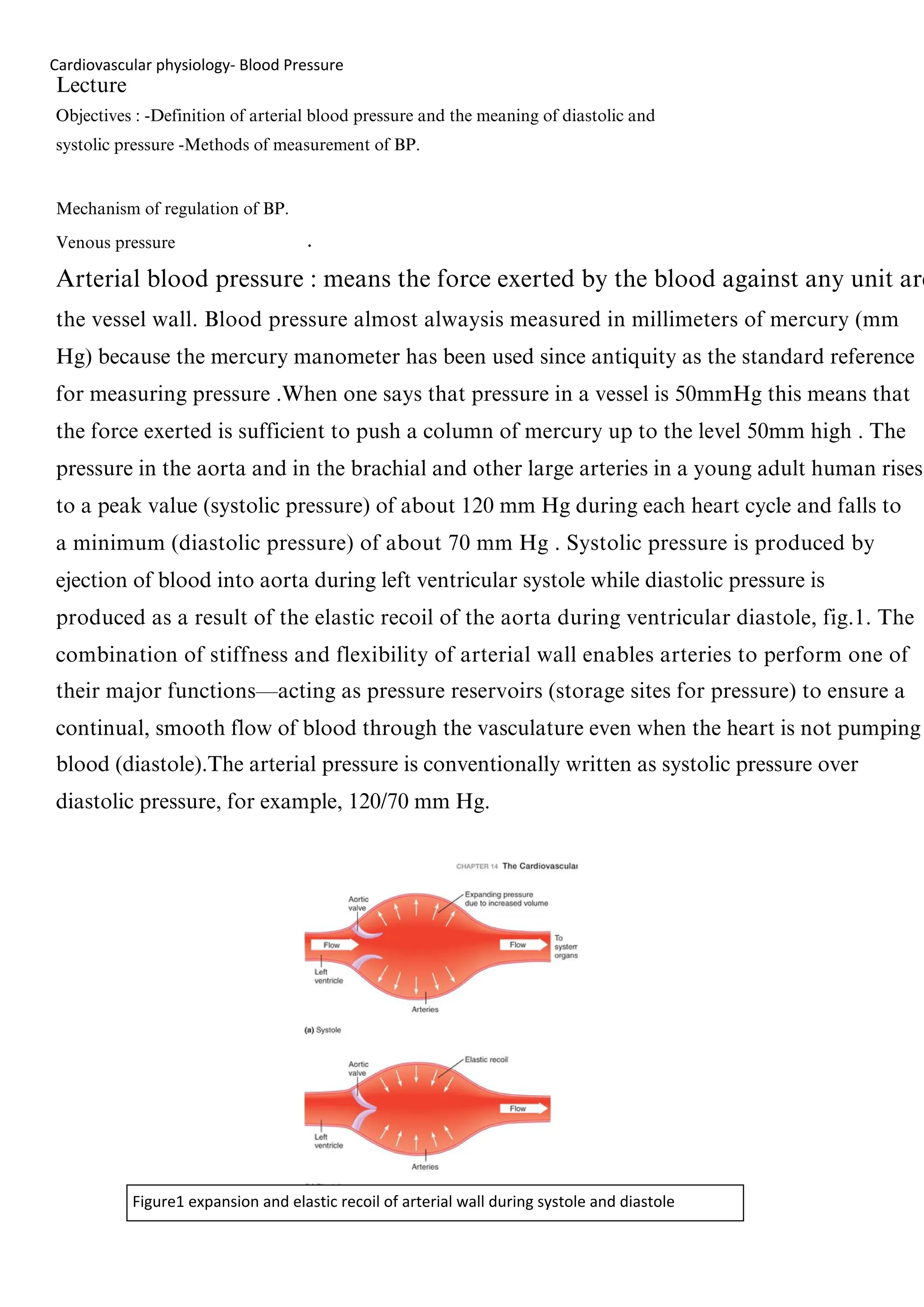 Blood Pressure and Regulation. Neural.pd