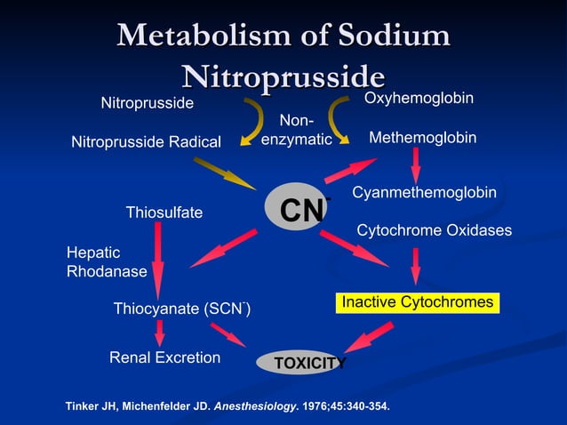 Blood Pressure Control in Neuro ICU | PPT