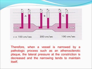 Blood pressure kamla choudhary | PPT