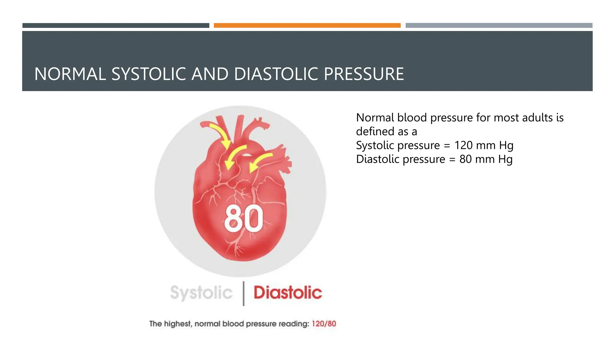 Types of Blood Pressure Measurement Techniques | PPTX