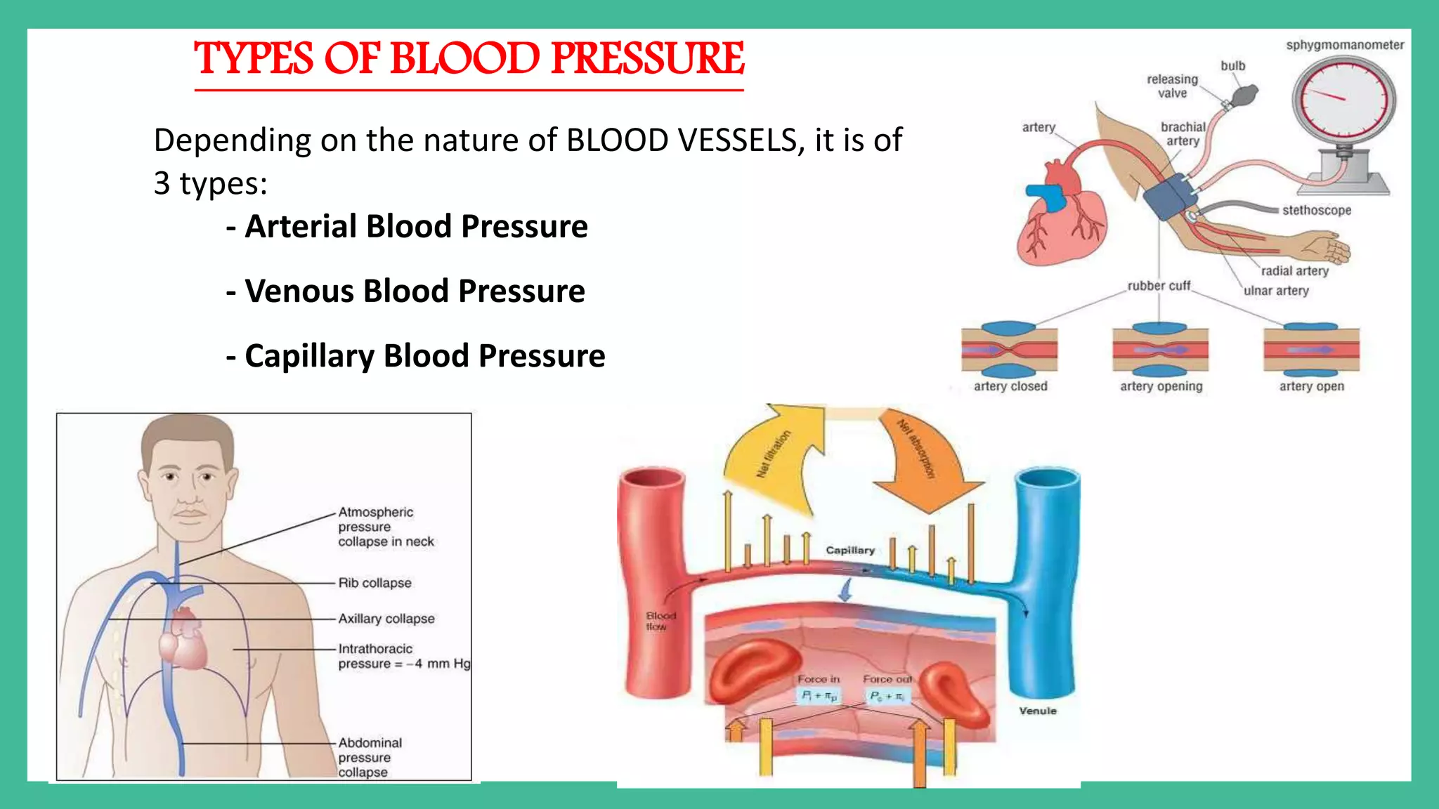 Blood pressure physiology, hypertension, circulatory disturbances. | PPTX