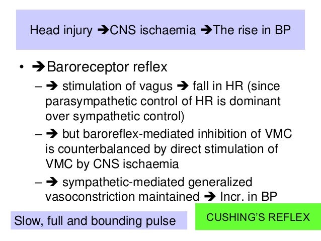 Cushing Reflex Head Injury – Cushing Reflex – YAUAT