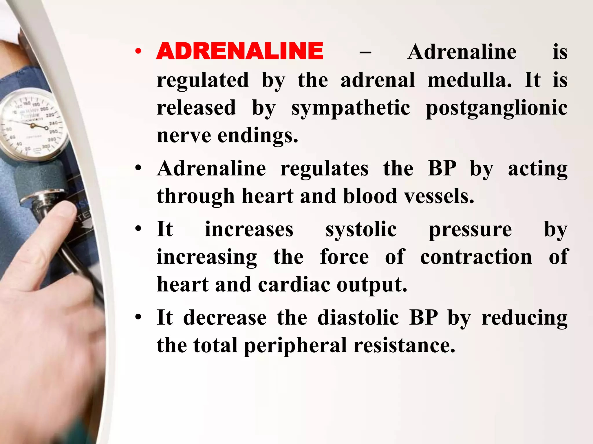 Blood pressure regulation renal mechanism | PPTX