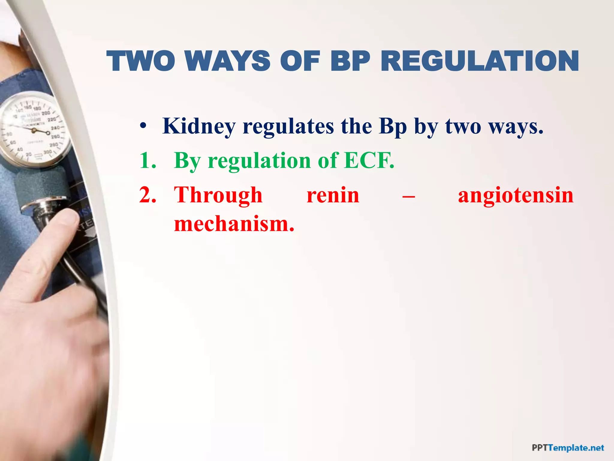 Blood pressure regulation renal mechanism | PPTX