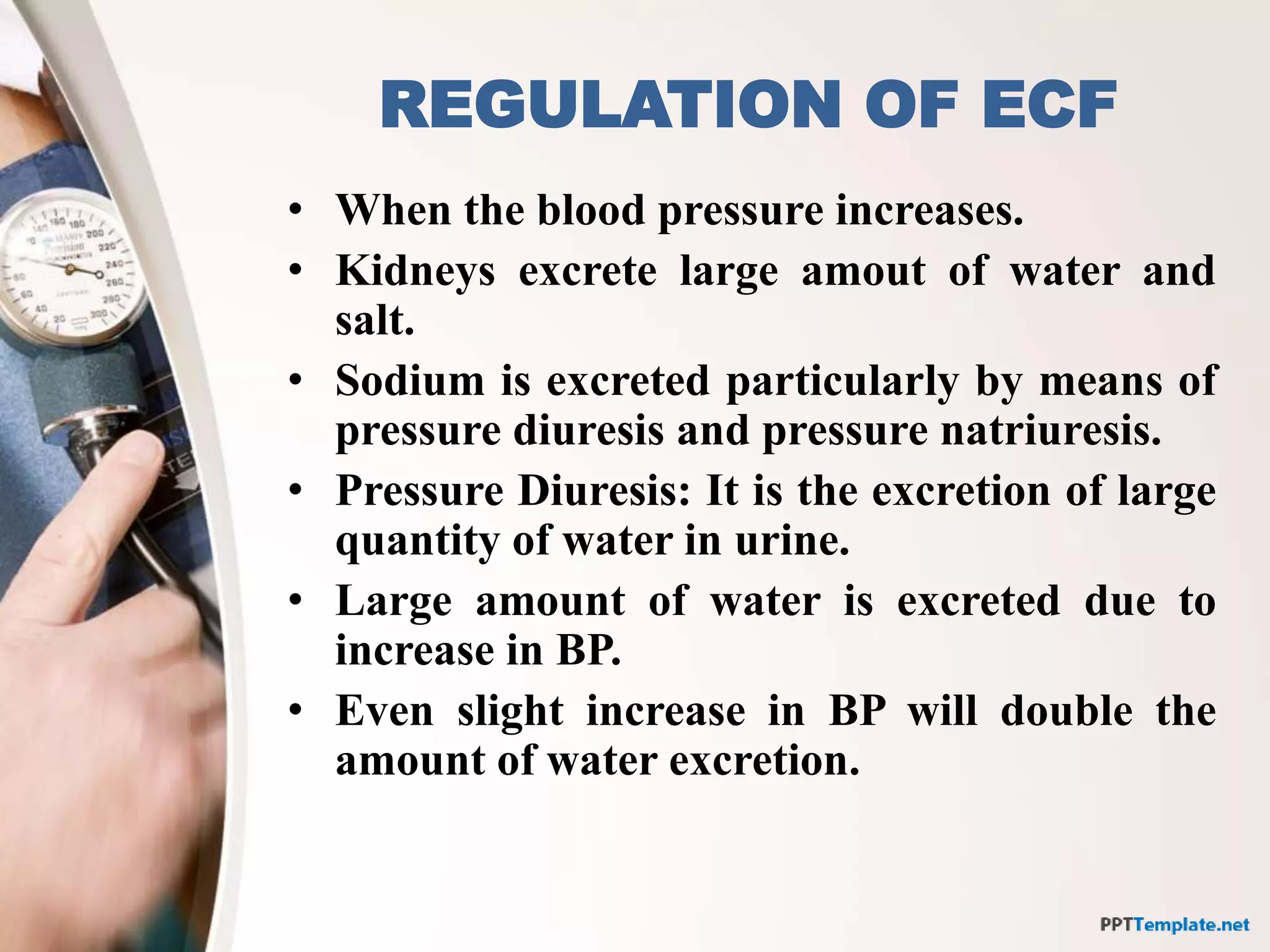 Blood pressure regulation renal mechanism | PPTX