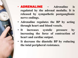 Blood pressure regulation renal mechanism | PPTX