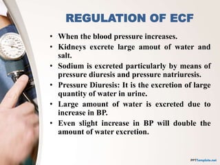 Blood pressure regulation renal mechanism | PPTX