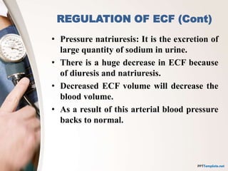 Blood pressure regulation renal mechanism | PPTX