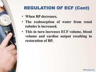 Blood pressure regulation renal mechanism | PPTX