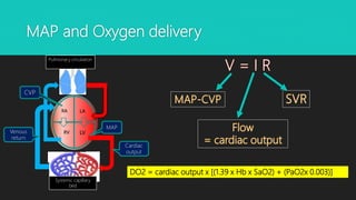 Blood pressure target in icu | PPTX