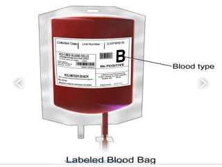 Blood products:Collection, Processing and Storage of whole human blood ...