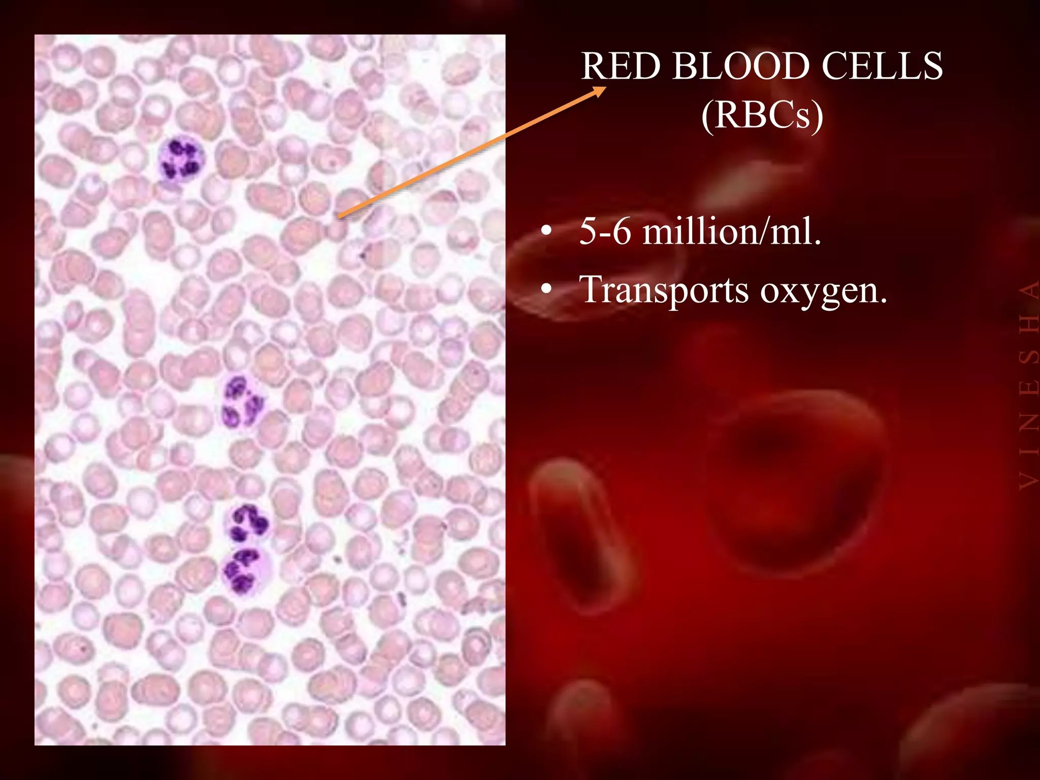BLOOD PRODUCTS & PLASMA SUBSTITUTES | PPTX