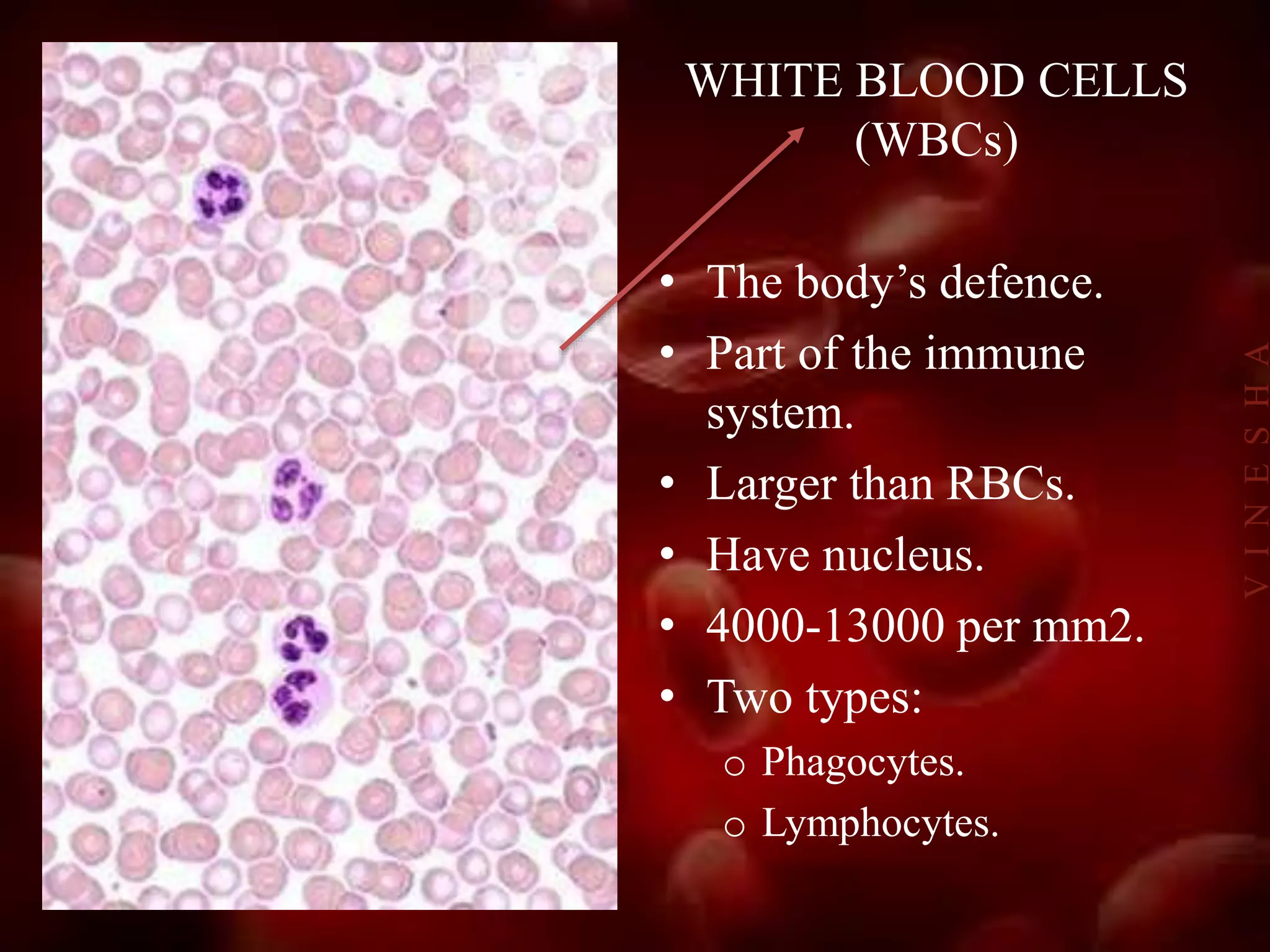 BLOOD PRODUCTS & PLASMA SUBSTITUTES | PPTX