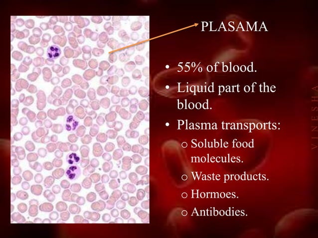 BLOOD PRODUCTS & PLASMA SUBSTITUTES | PPTX | Blood Disorders | Diseases ...