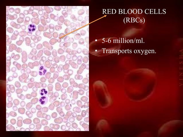 BLOOD PRODUCTS & PLASMA SUBSTITUTES | PPTX | Blood Disorders | Diseases ...