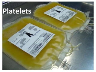 Blood products trasnfusion in neonates | PPTX