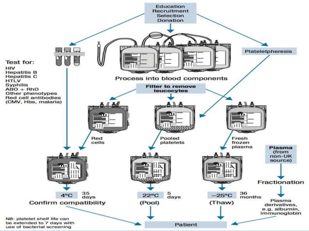 Blood product transfusion | PPT