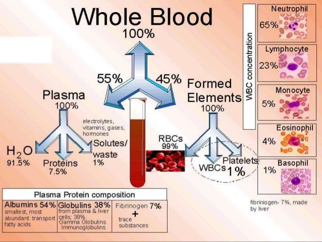 Blood product transfusion