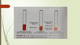 BLOOD SAMPLE COLLECTION, PROCEDURE and PROCESSING.pptx