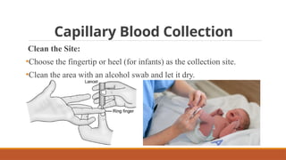 Blood Sample Collection in hospitals (Lab) | PPTX