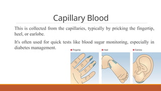 Blood Sample Collection in hospitals (Lab) | PPTX