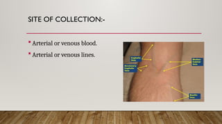 Blood sample collection for culture test (2).pptx