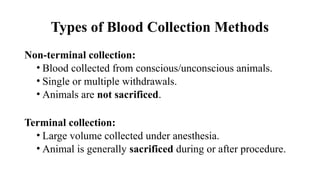 Blood sample collection from Lab animals | PPTX