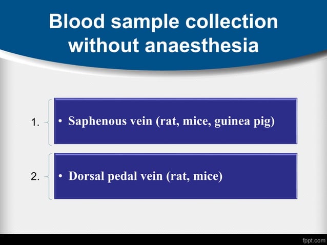 Blood Sample Collection Method.ppt