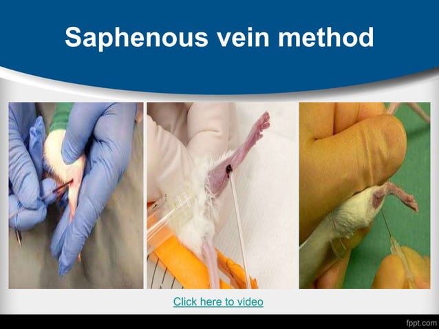 Blood Sample Collection Method.ppt