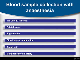 Blood Sample Collection Method.ppt