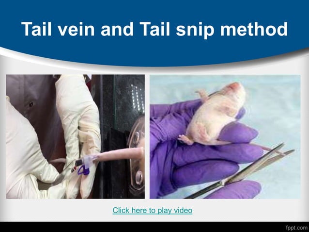 Blood Sample Collection Method.ppt