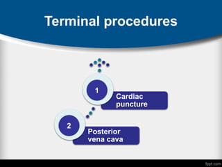 Blood Sample Collection Method.ppt