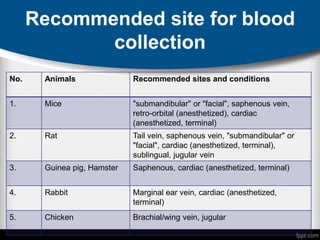 Blood Sample Collection Method.ppt