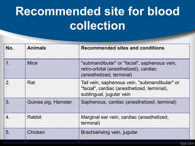 Blood Sample Collection Method.ppt
