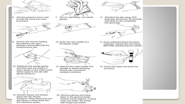 Blood sample collection procedure ppt | PPTX | First Aid | Injuries