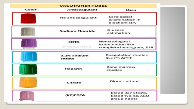 Blood sample collection procedure ppt | PPTX | First Aid | Injuries