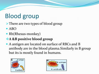 composition of blood | PPTX